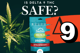 is delta 9 safe What You Need to Know About Effects, Risks